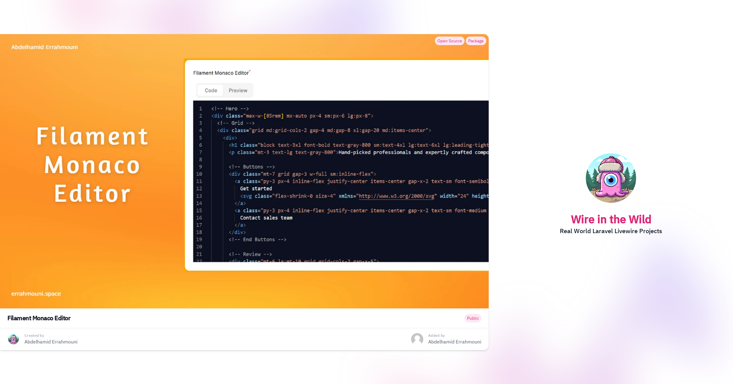 Filament Monaco Editor | Wire in the Wild