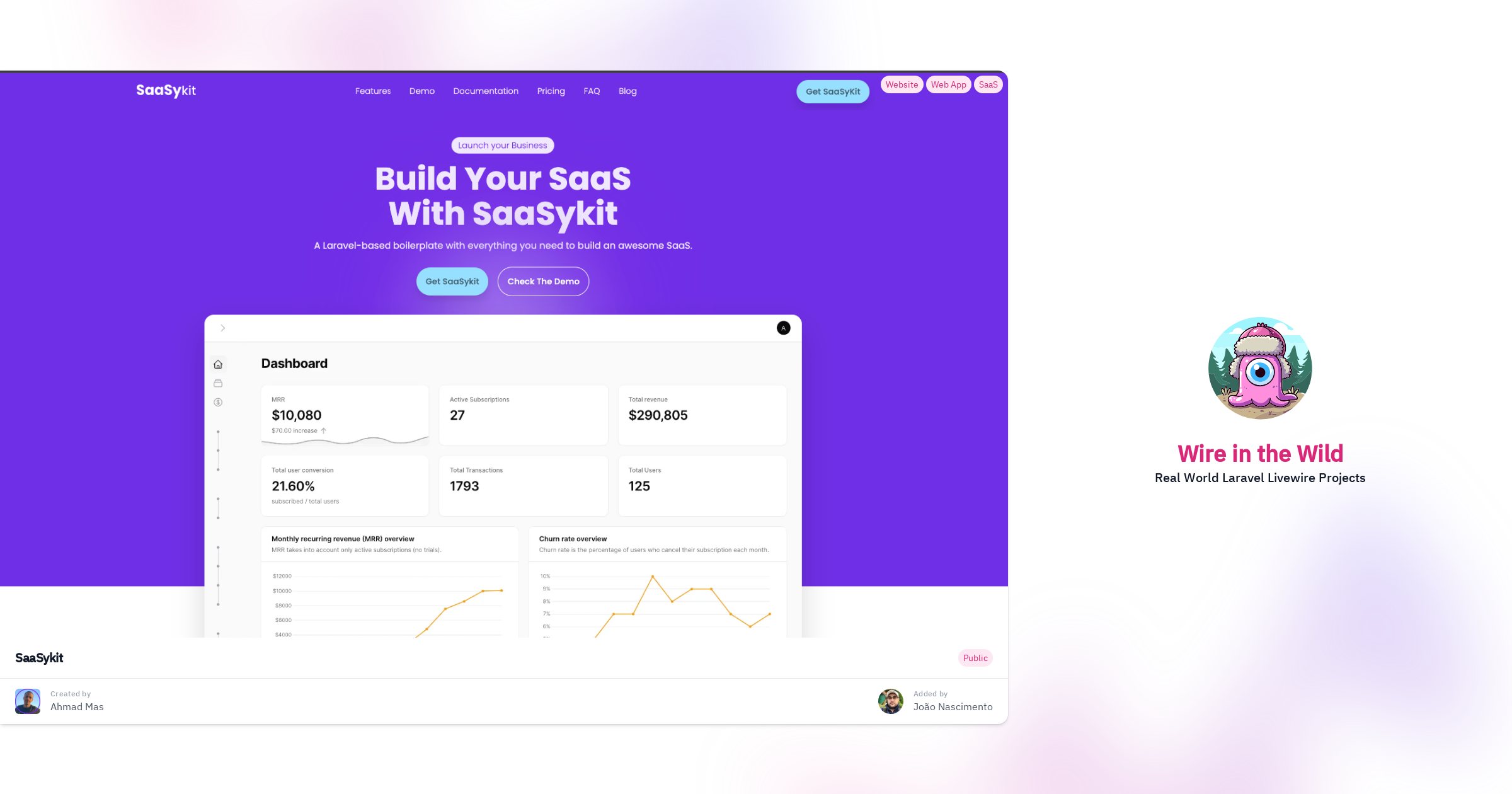 SaaSykit | Wire in the Wild