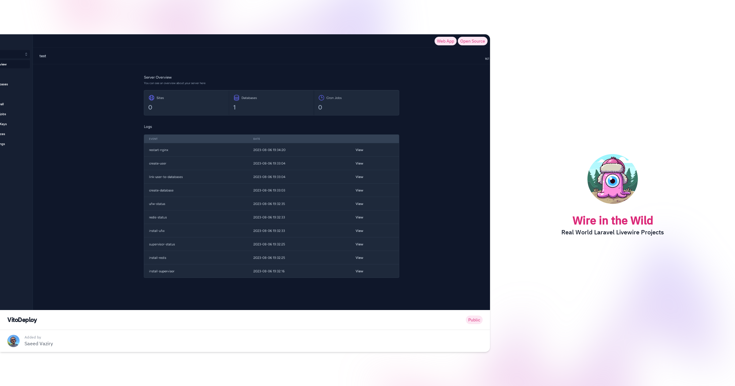 VitoDeploy | Wire in the Wild